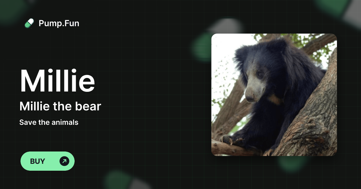 Millie the bear (Millie) - Pump