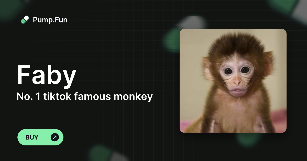 No. 1 tiktok famous monkey (Faby) - Pump