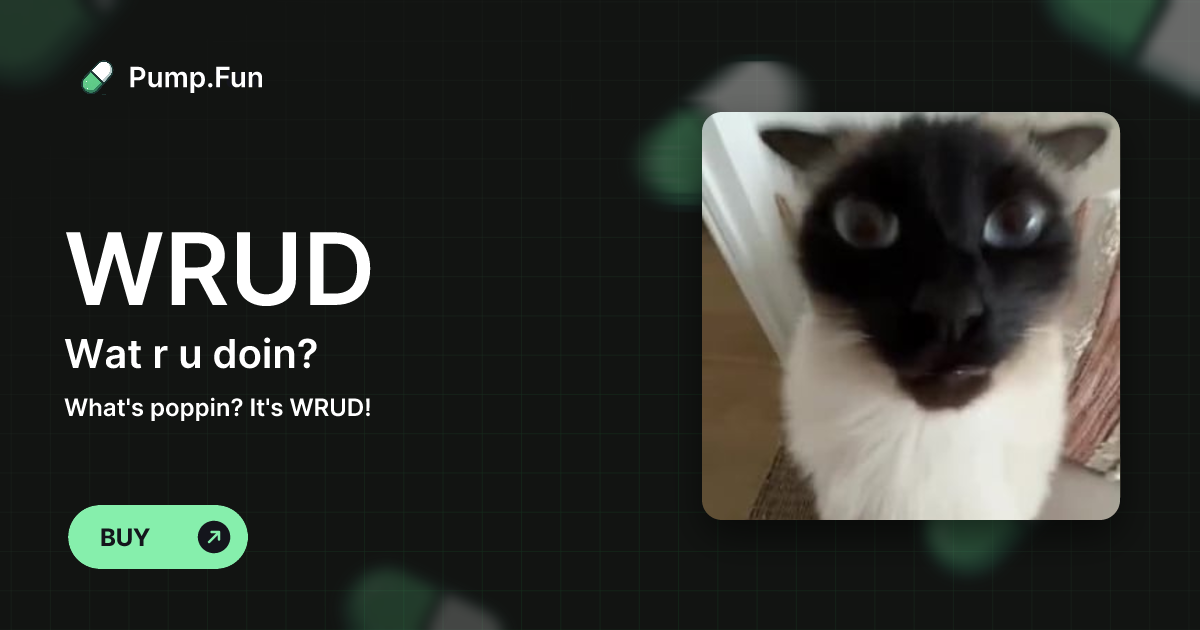 Wat r u doin? (WRUD ) - Pump
