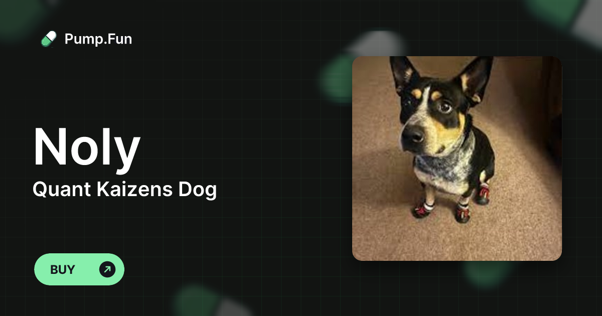 Quant Kaizens Dog (Noly) - Pump