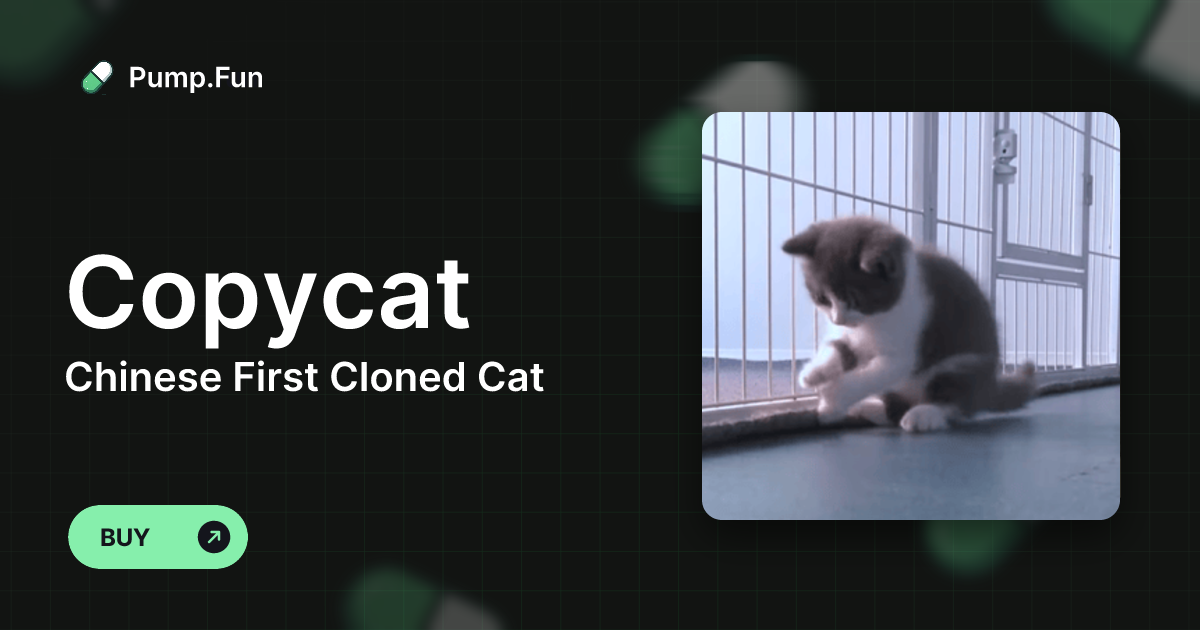 Chinese First Cloned Cat (Copycat) - Pump