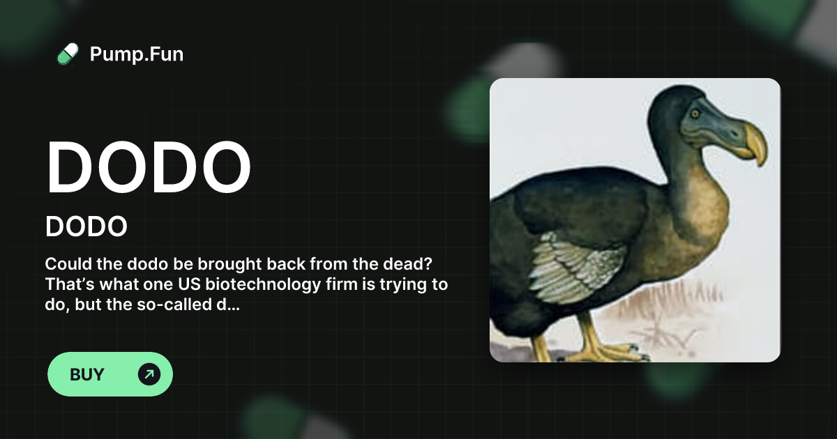 DODO (DODO) - Pump