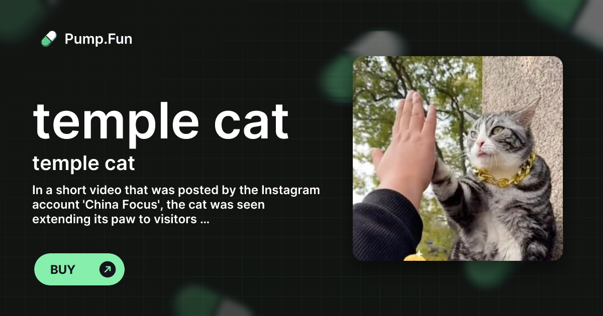 temple cat (temple cat) - Pump