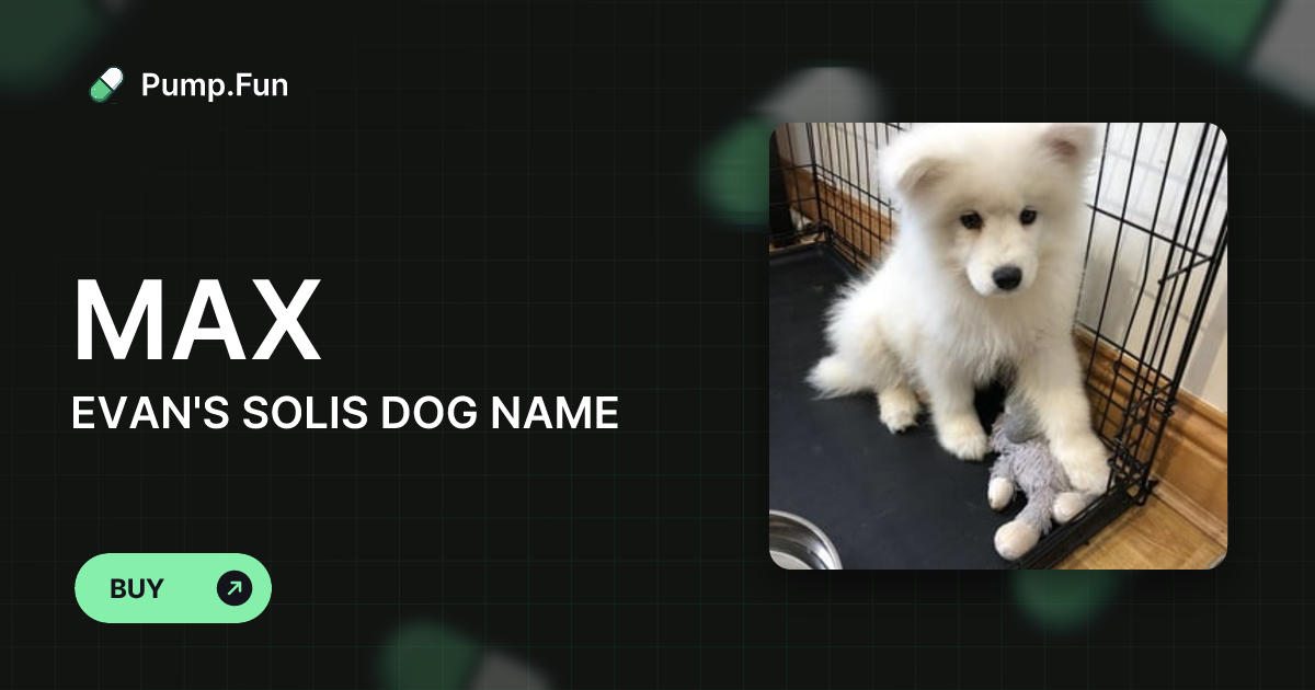 EVAN'S SOLIS DOG NAME (MAX) - Pump