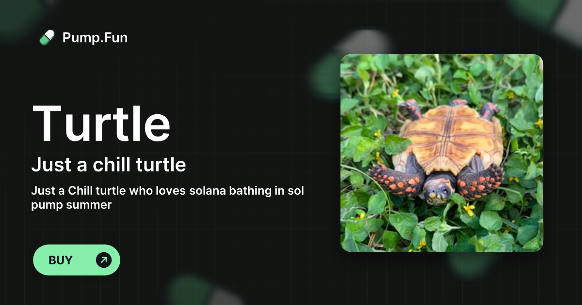 Just a chill turtle (Turtle) - Pump