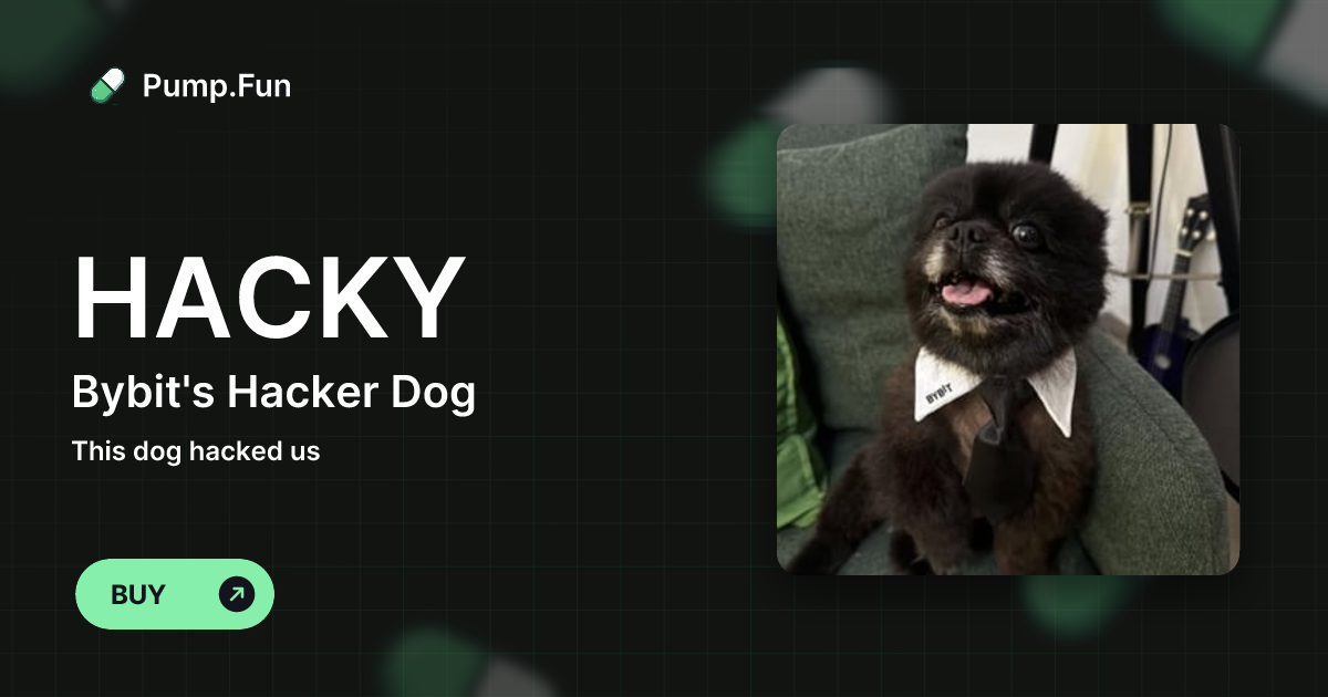 Bybit's Hacker Dog (HACKY) - Pump