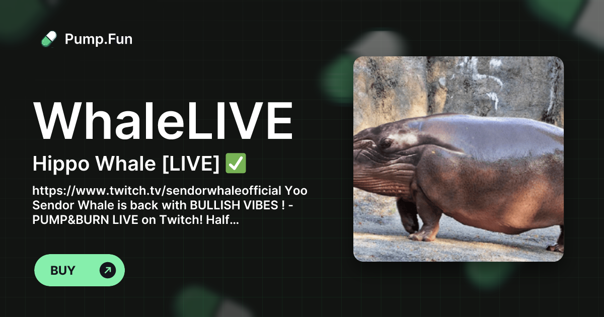 Hippo Whale [LIVE] (WhaleLIVE) - Pump