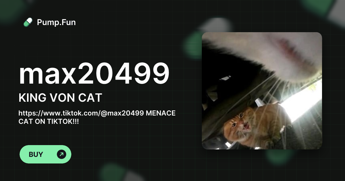 KING VON CAT (max20499) - Pump