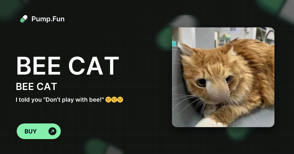 BEE CAT (BEE CAT) - Pump