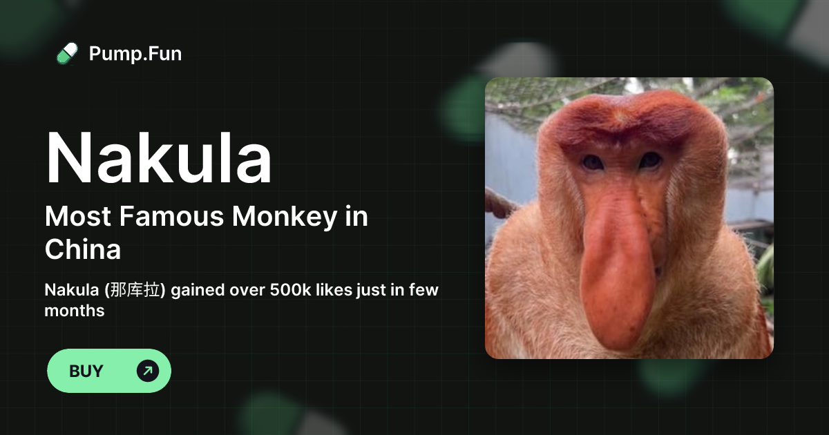 Most Famous Monkey in China (Nakula) - Pump