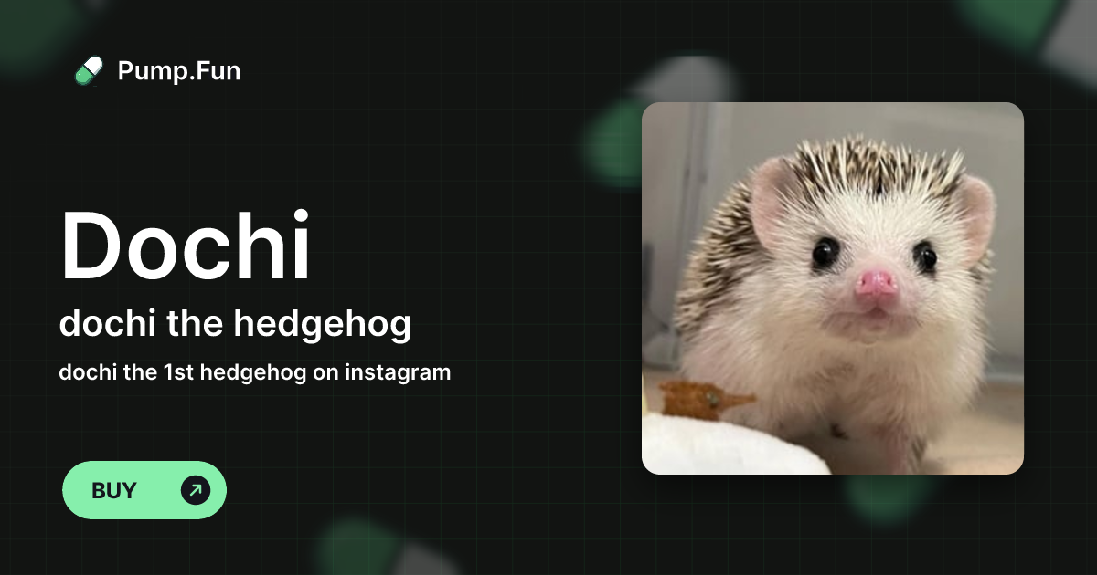 dochi the hedgehog (Dochi) - Pump