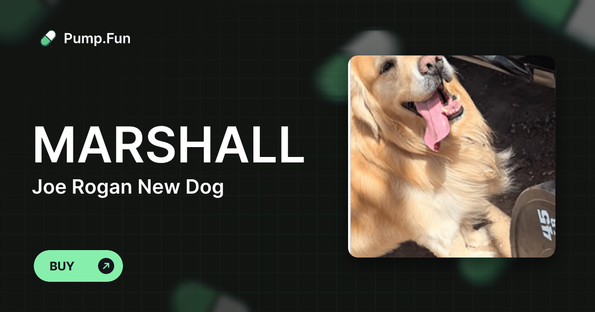 Joe Rogan New Dog (MARSHALL) - Pump