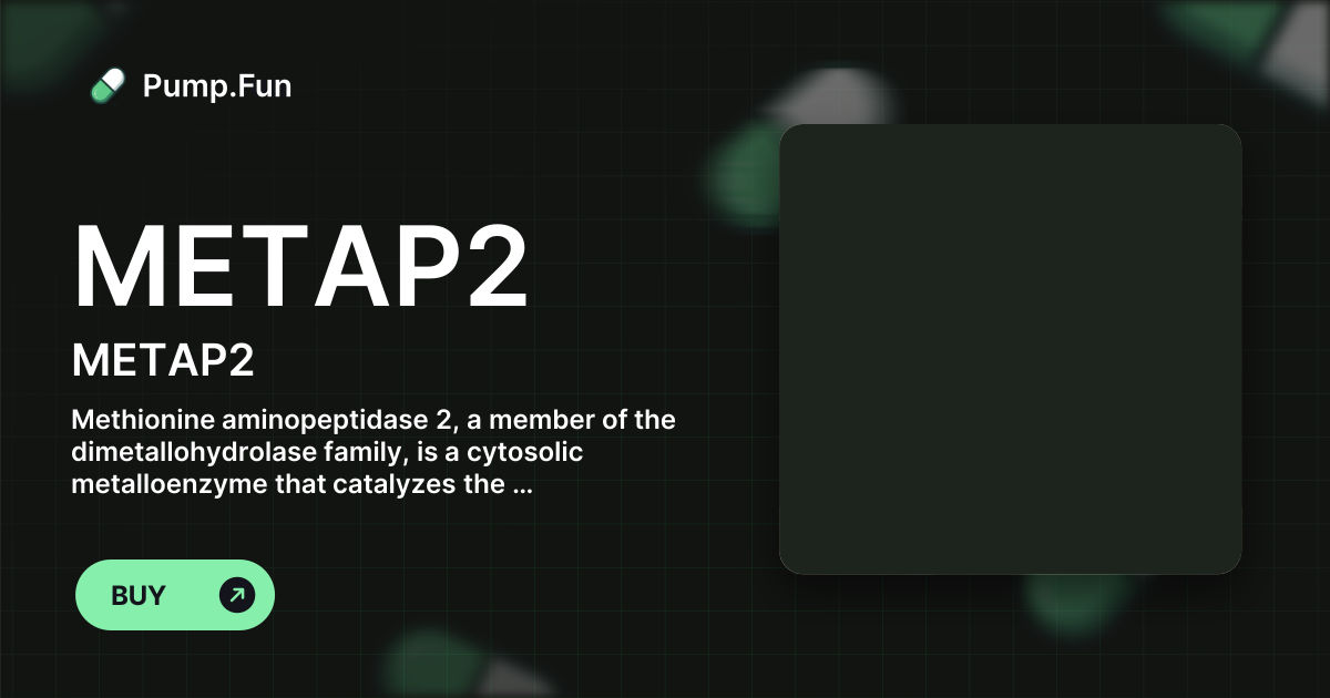 METAP2 (METAP2) - Pump