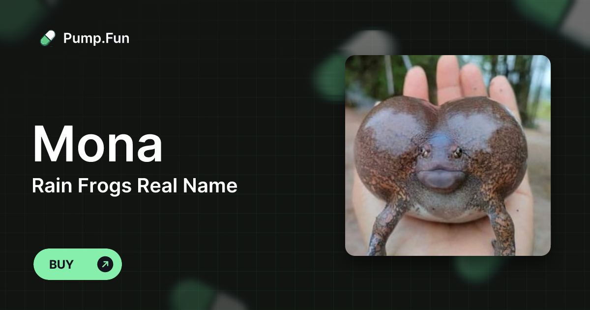 Rain Frogs Real Name (Mona) - Pump