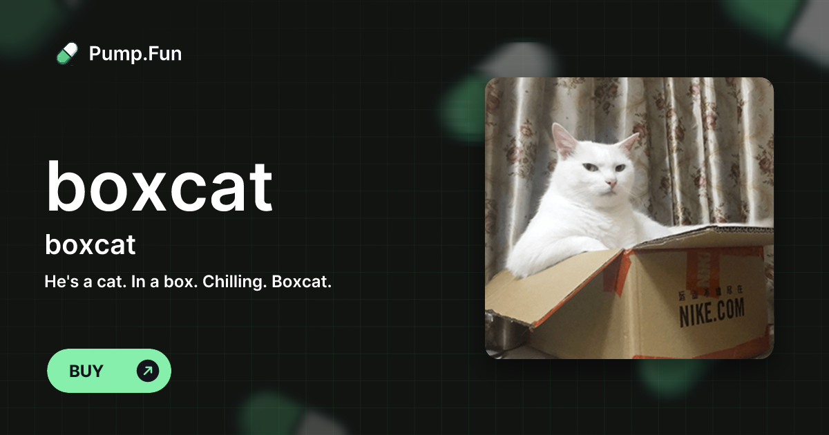 boxcat (boxcat) - Pump