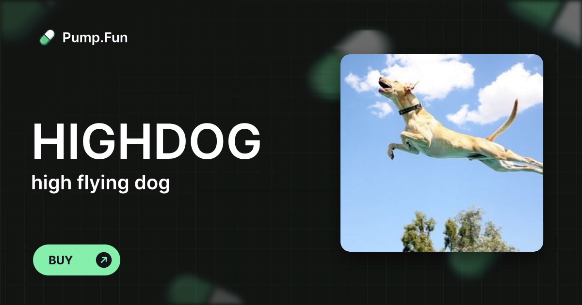 high flying dog (HIGHDOG) - Pump