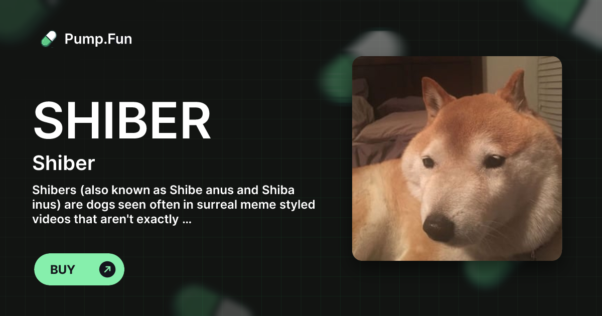 Shiber (SHIBER) - Pump