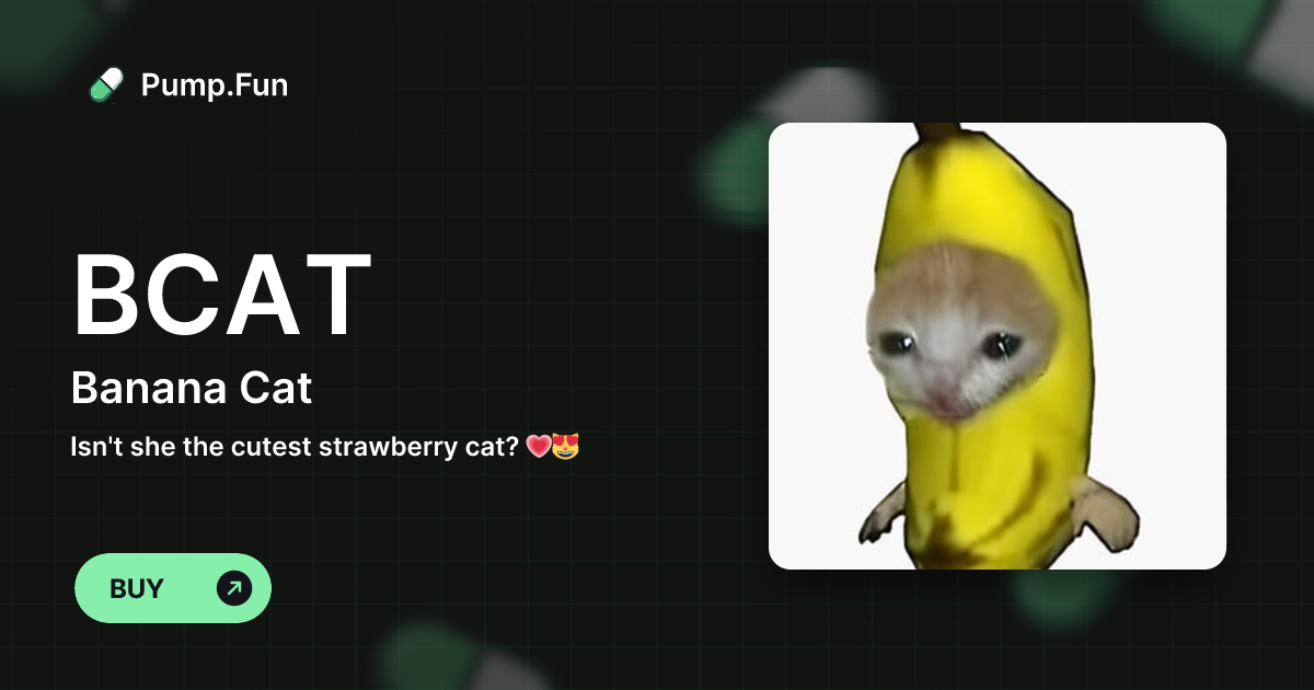 Banana Cat (BCAT) - Pump