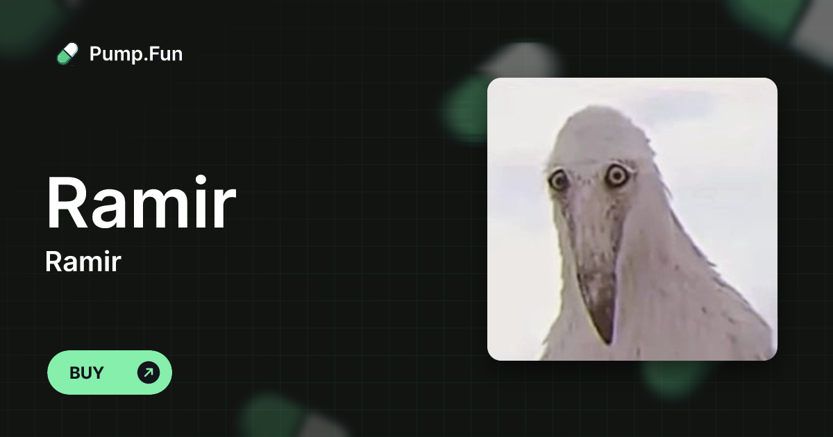 Ramir (Ramir) - Pump