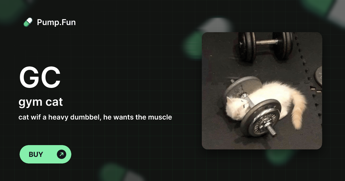 gym cat (GC) - Pump