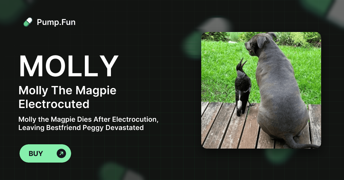 Molly The Magpie Electrocuted (MOLLY) - Pump