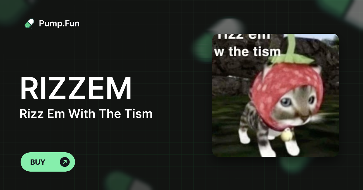 Rizz Em With The Tism (RIZZEM) - Pump