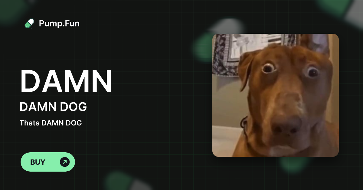 DAMN DOG (DAMN ) - Pump