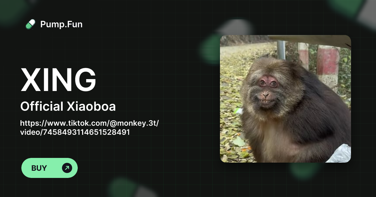 Official Xiaoboa (XING) - Pump