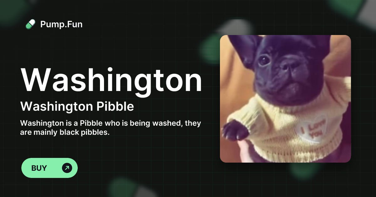 Washington Pibble (Washington) - Pump