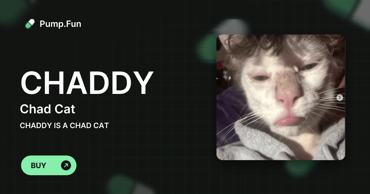 Chad Cat (CHADDY) - Pump
