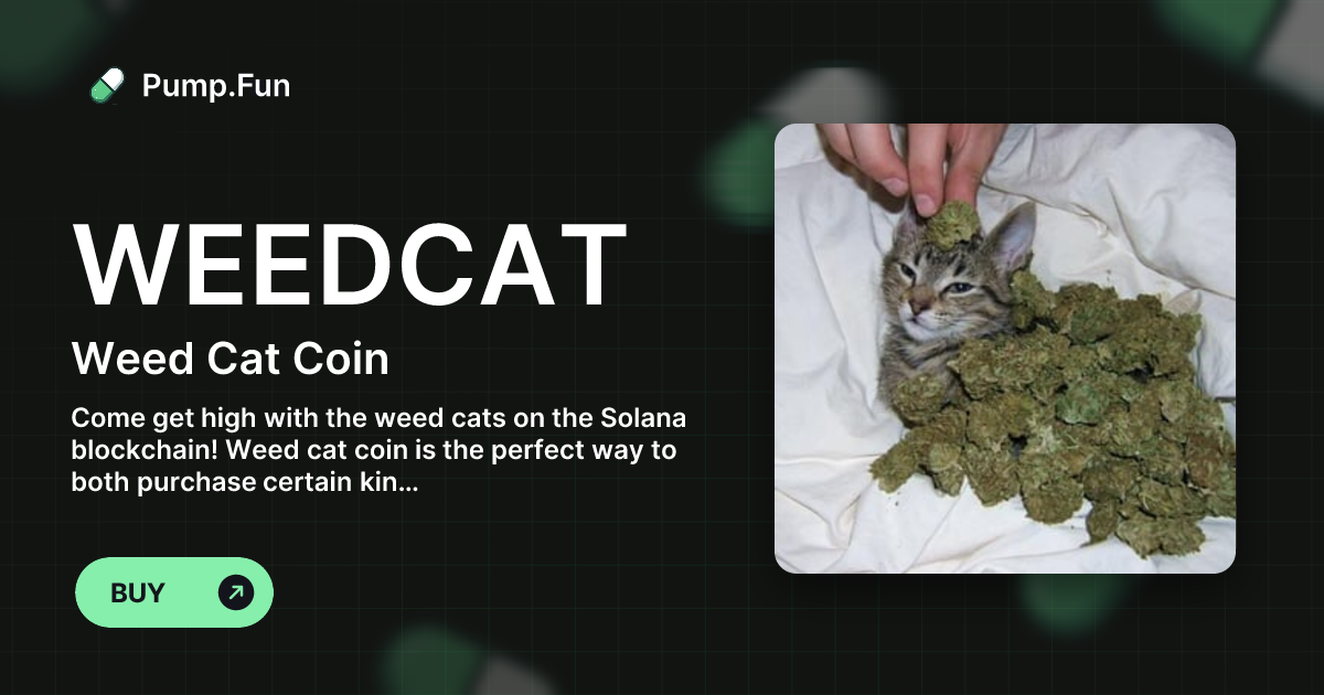 Weed Cat Coin (WEEDCAT) - Pump
