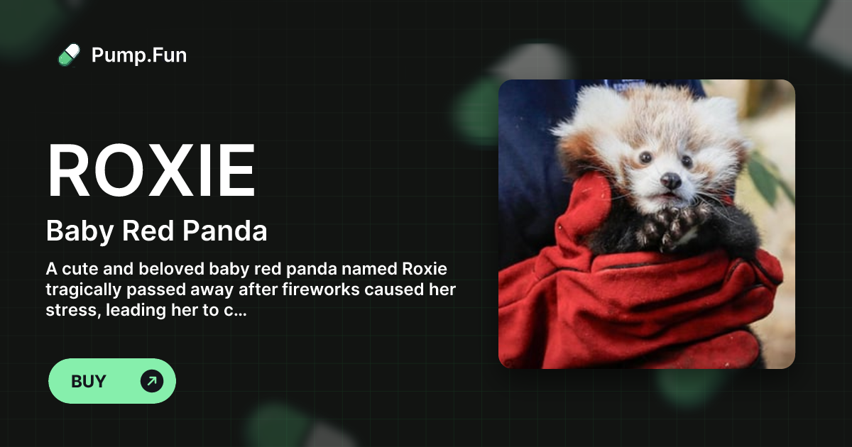 Baby Red Panda (ROXIE) - Pump