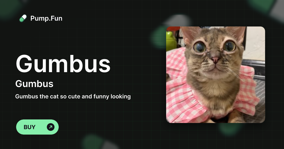 Gumbus (Gumbus) - Pump