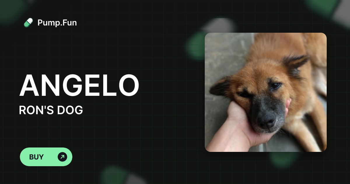 RON'S DOG (ANGELO) - Pump