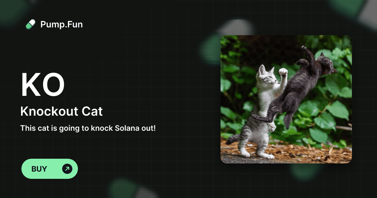Knockout Cat (KO) - Pump
