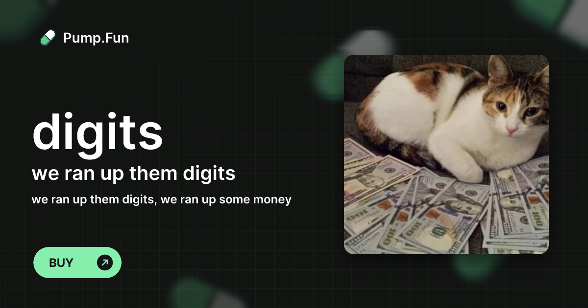 we ran up them digits (digits) - Pump