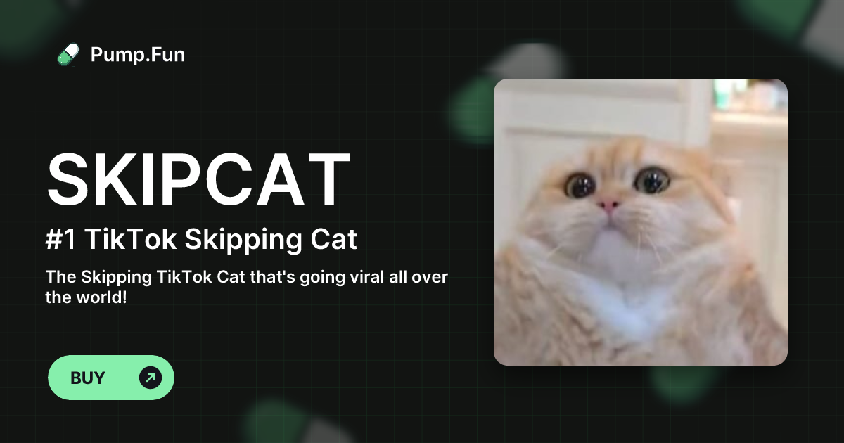 #1 TikTok Skipping Cat (SKIPCAT) - Pump