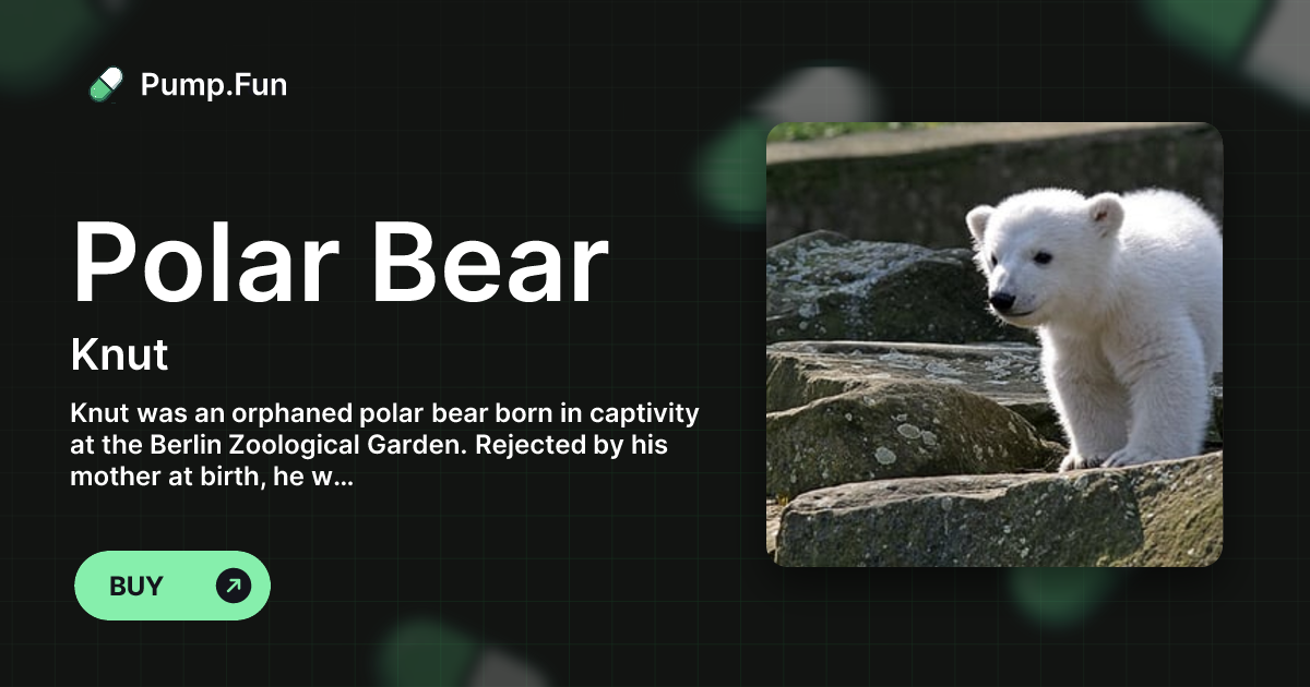 Knut (Polar Bear) - Pump