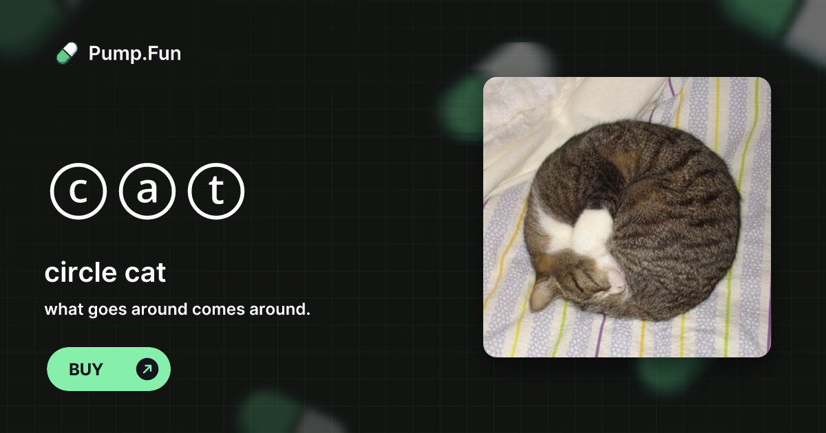 circle cat (ⓒⓐⓣ) - Pump