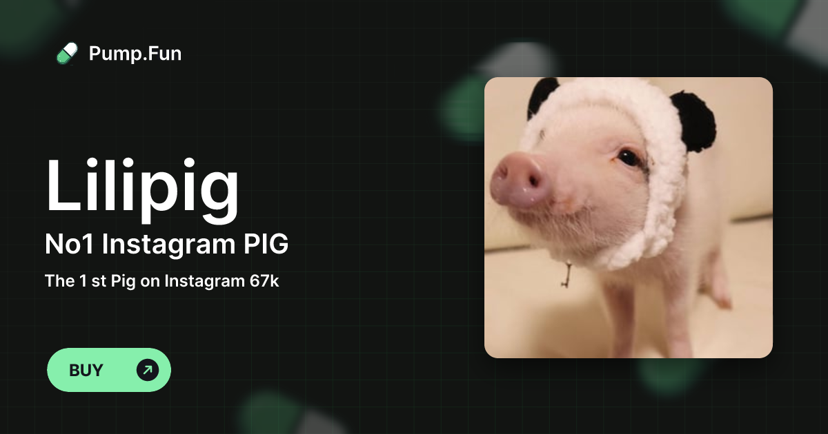 No1 Instagram PIG (Lilipig) - Pump