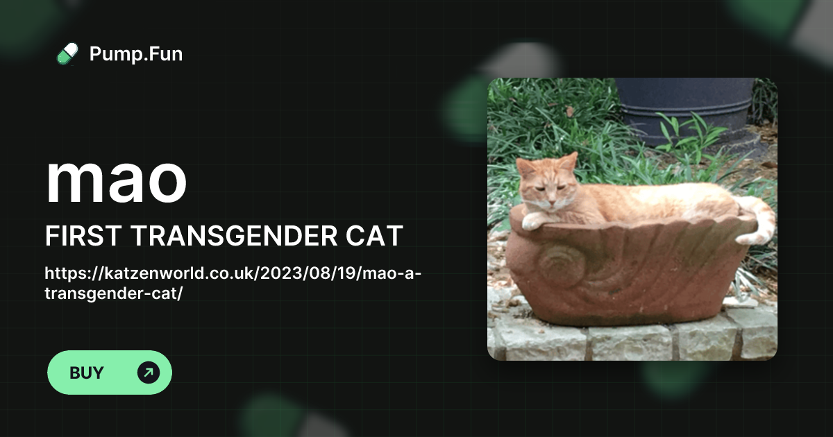 FIRST TRANSGENDER CAT (mao) - Pump