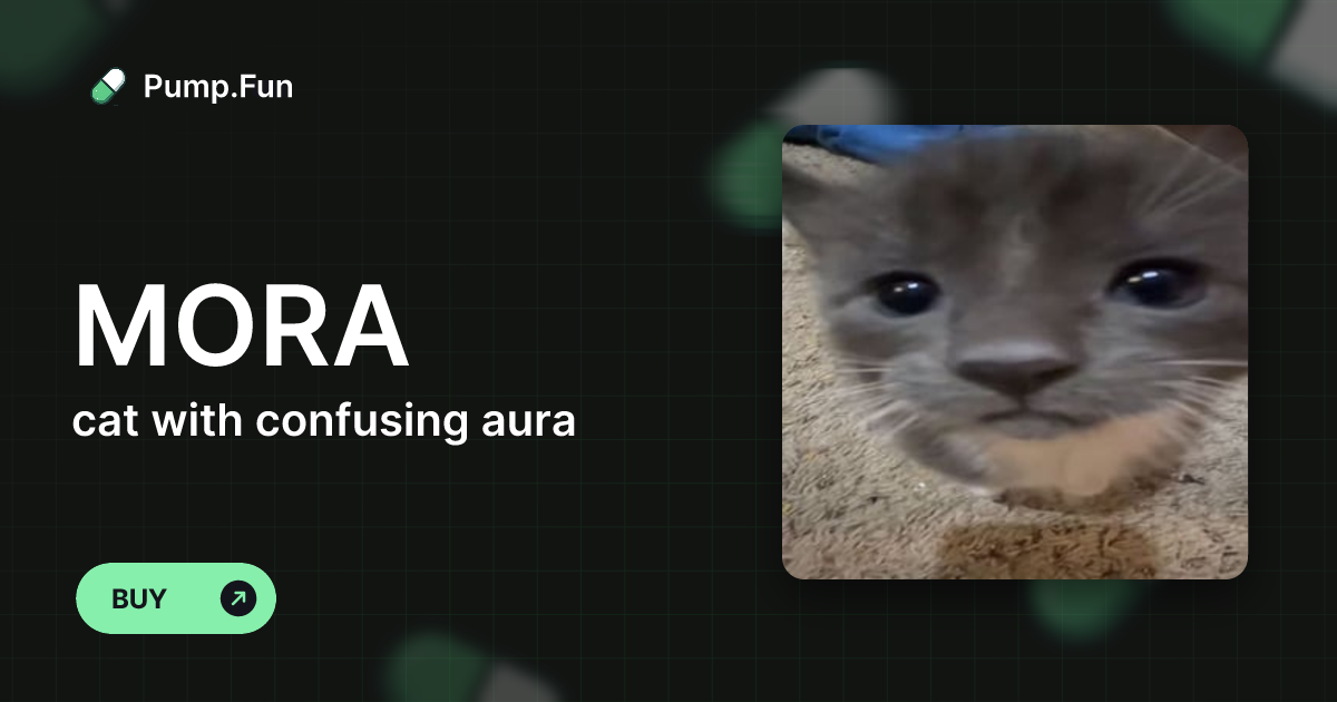 cat with confusing aura (MORA) - Pump