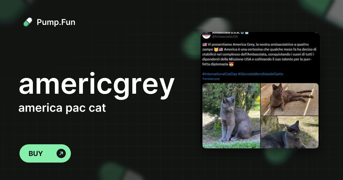 america pac cat (americgrey) - Pump