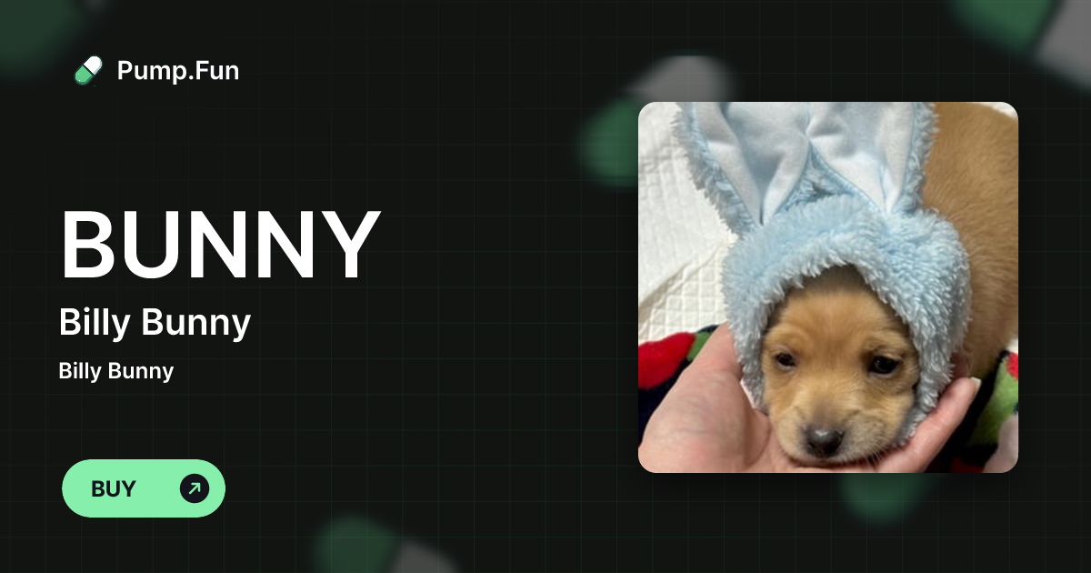 Billy Bunny (BUNNY) - Pump