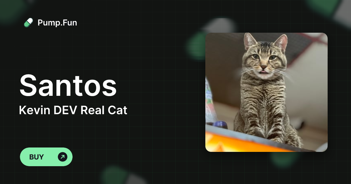 Kevin DEV Real Cat ( Santos) - Pump