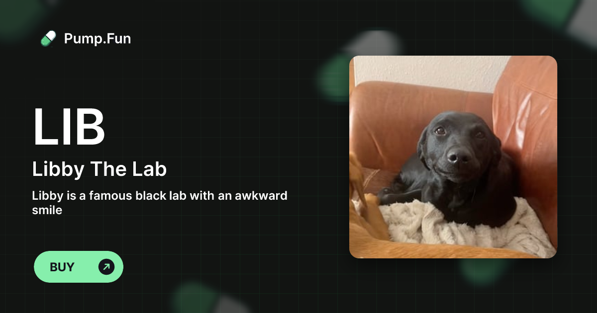 Libby The Lab (LIB) - Pump