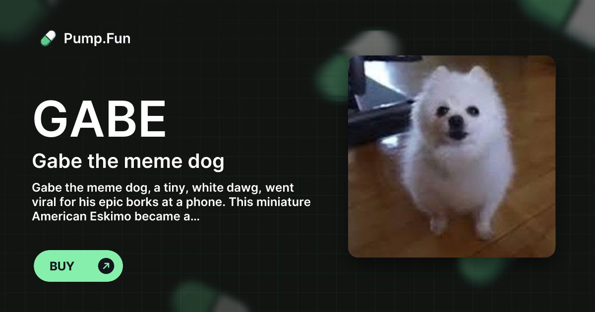 Gabe the meme dog (GABE) - Pump