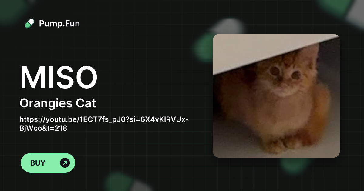 Orangies Cat (MISO) - Pump
