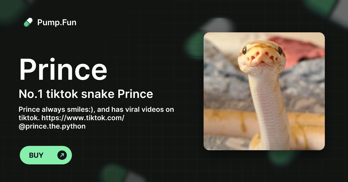 No.1 tiktok snake Prince (Prince) - Pump