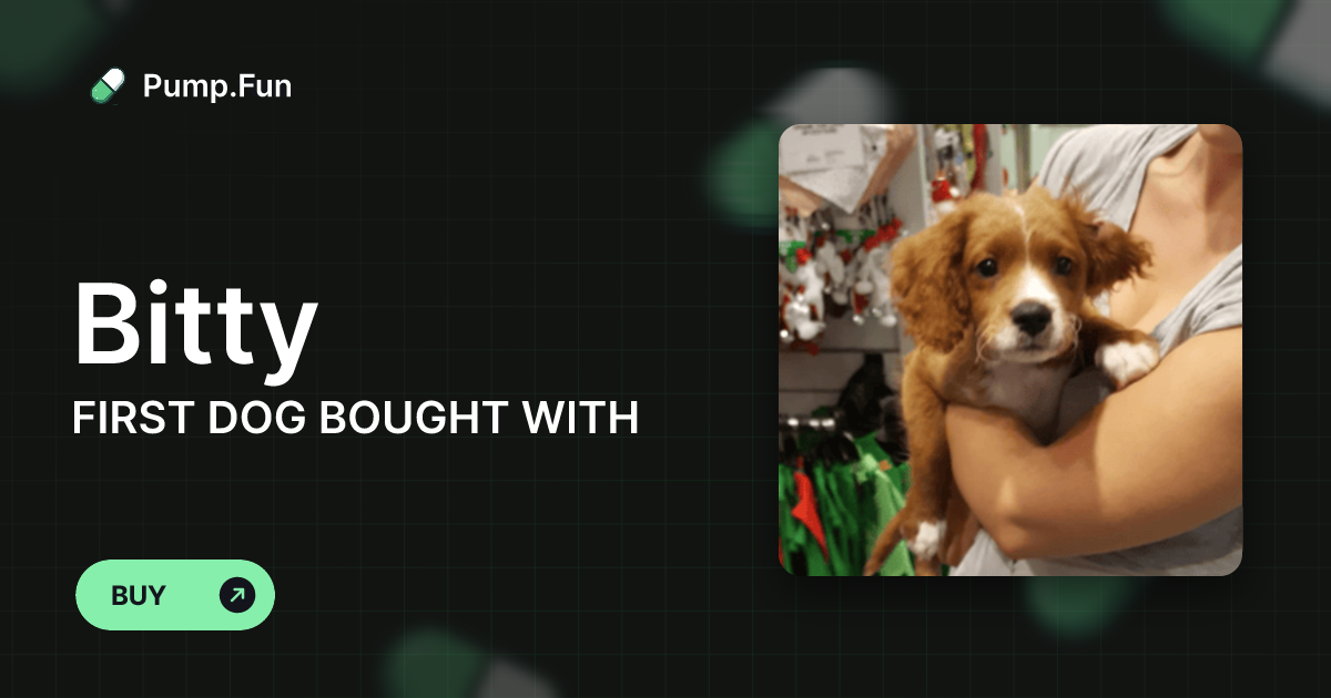 FIRST DOG BOUGHT WITH (Bitty) - Pump